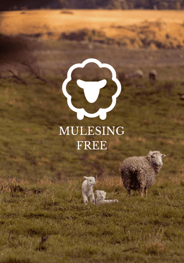 Merino Wool Clothing - Warmest Merino Base Layers | Merino Bond